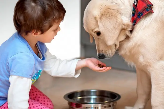 Cómo educar a los niños en el cuidado de las mascotas